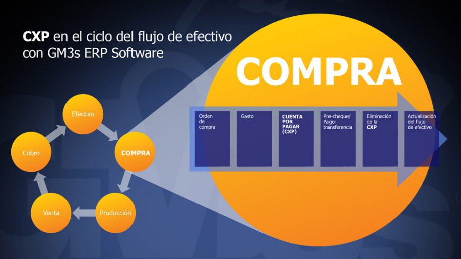 Módulo Cuentas por Pagar con Qlik Sense de GM3s Software ERP